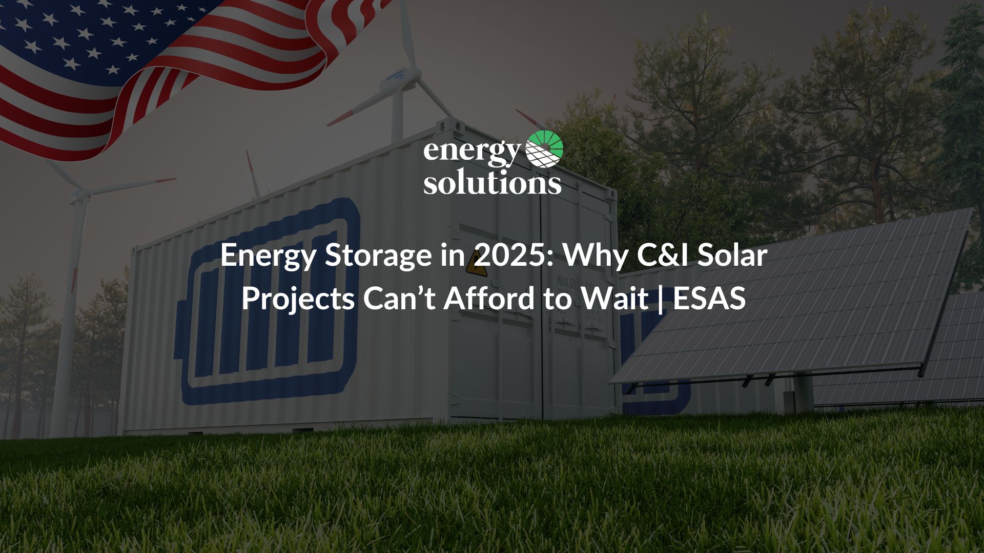 Maximize ROI: Overcoming C&I Solar + Energy Storage Challenges in 2025 ...